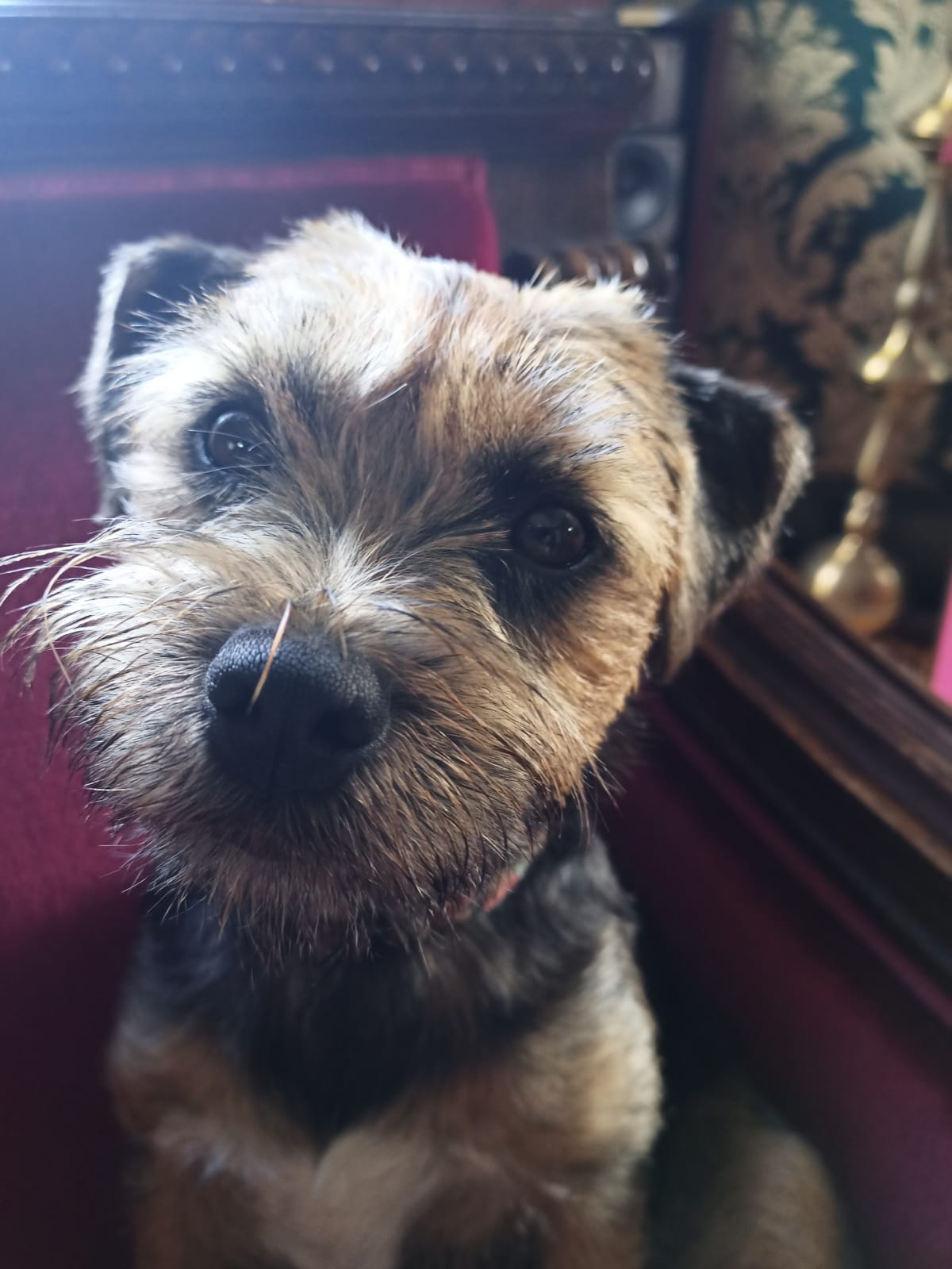 Hainich Border - Willkommen